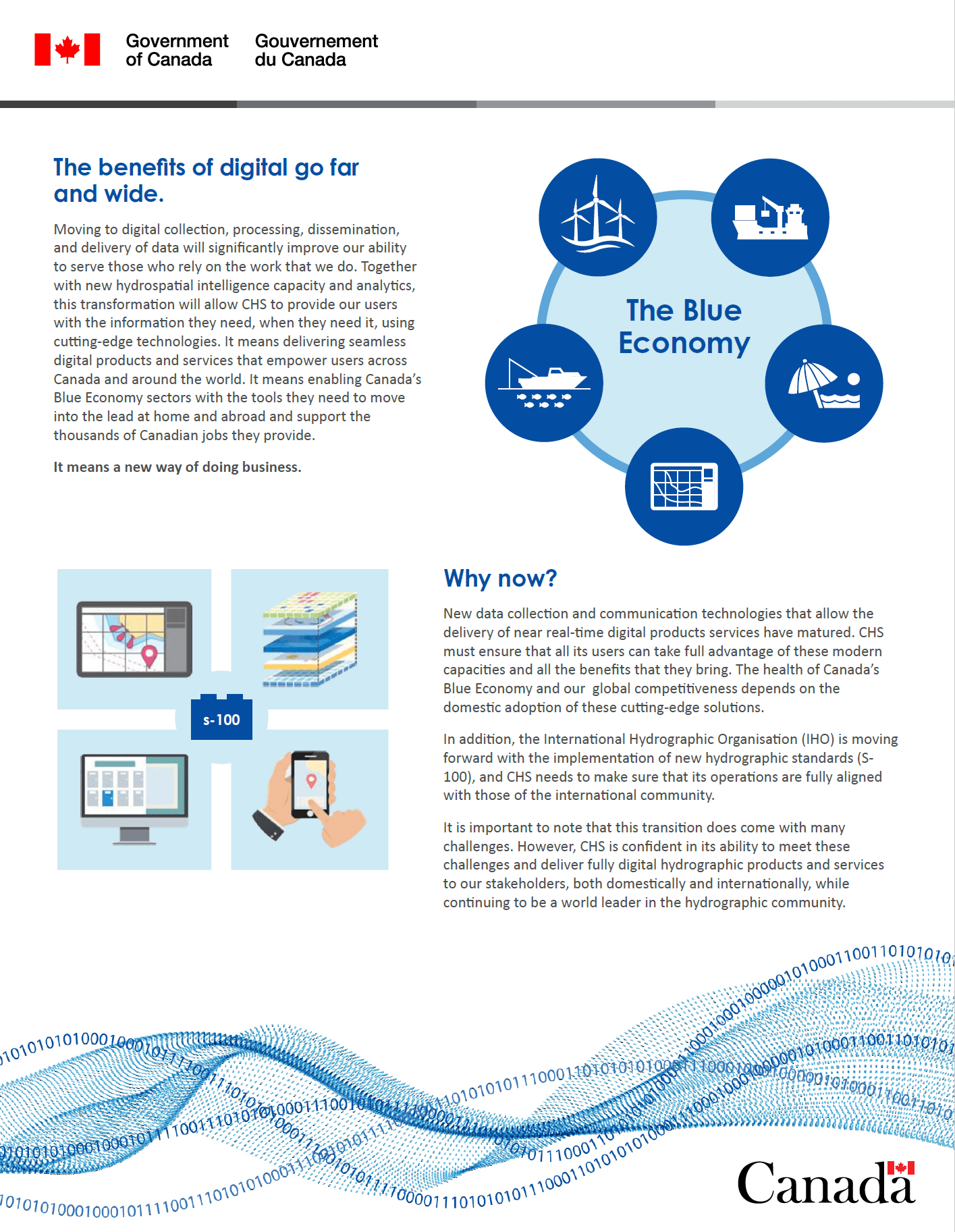 Project Portfolio | NIVA Inc.