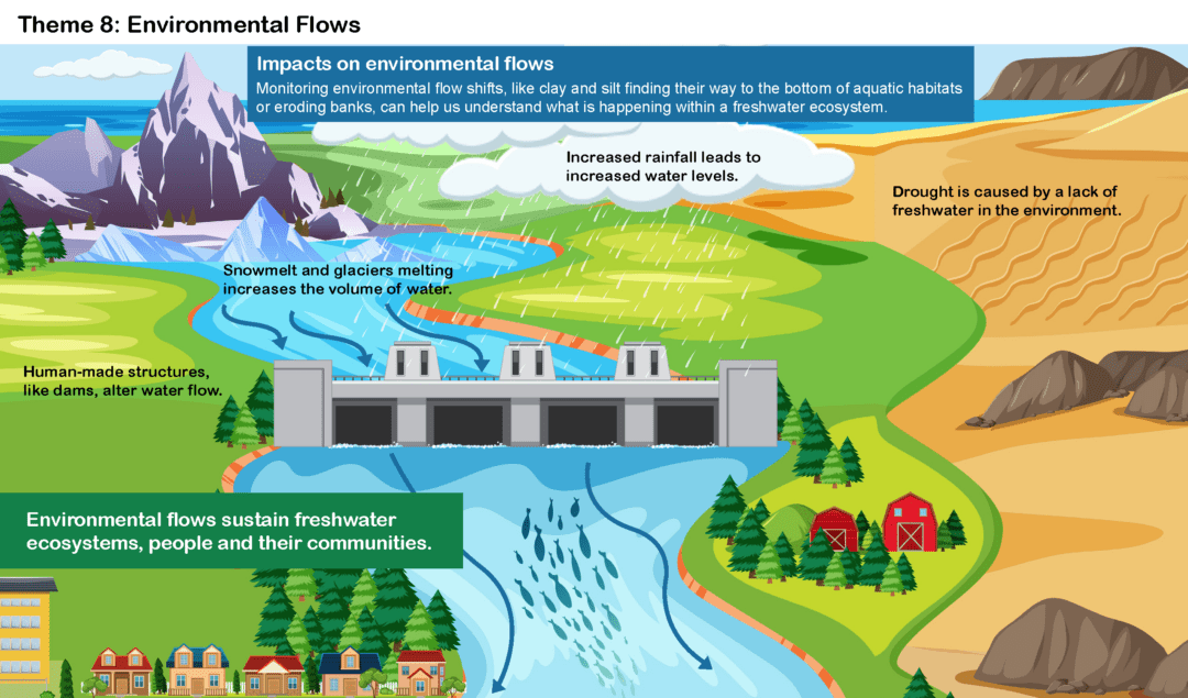 Project Portfolio | NIVA Inc.